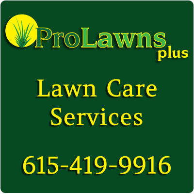Nashville Lawn Care & Landscaping Services - ProLawns Plus